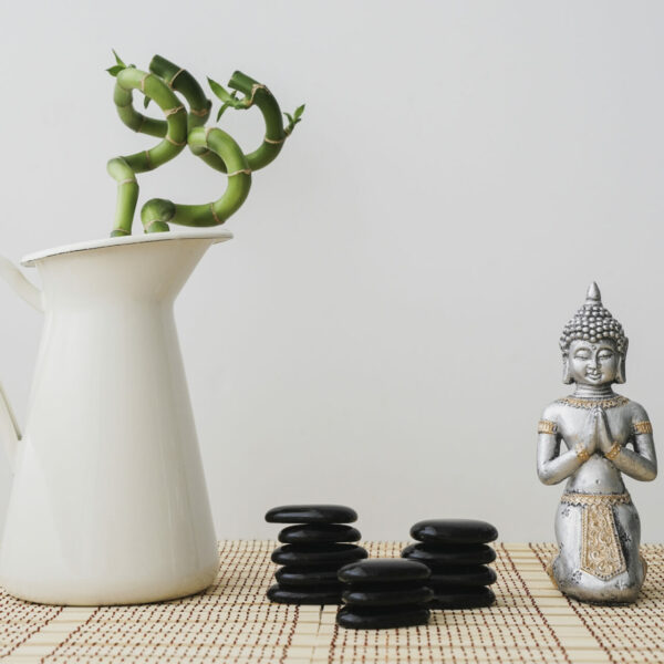 Qué es el Zen: Filosofía, Orígenes y Aplicaciones en la Vida Diaria