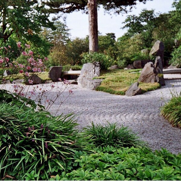 Qué es el Zen: Filosofía, Orígenes y Aplicaciones en la Vida Diaria